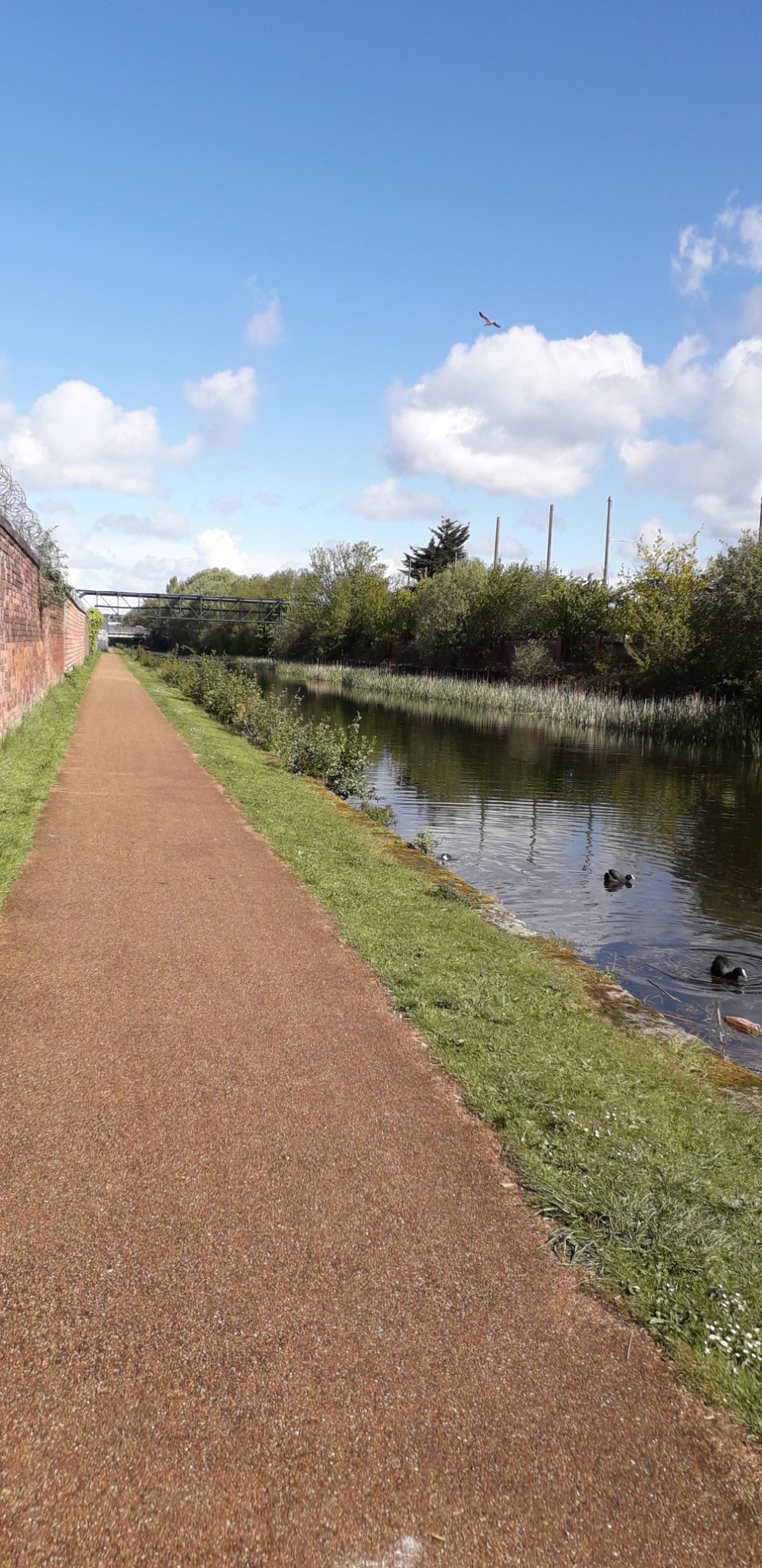 Walk this May for your wellbeing – Living Well Sefton